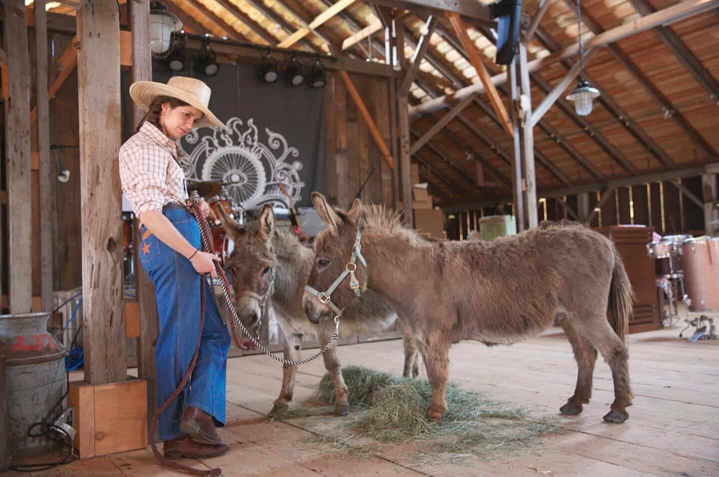 Avery Hellman: Ismay's Calm Cowbirl Energy